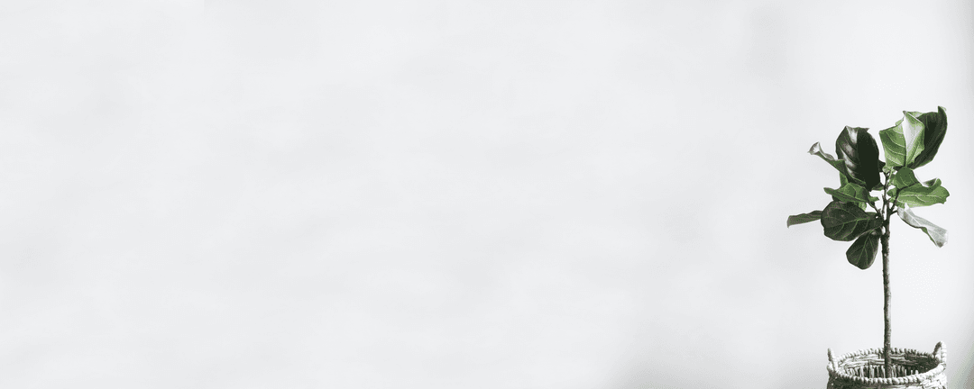 Property Tax Payments Made Simple | Easy Smart Pay™