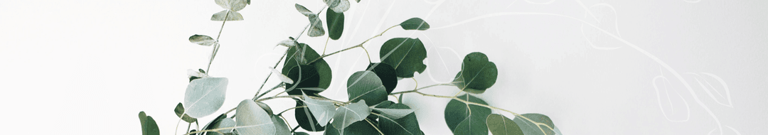 FAQ | Easy Smart Pay™